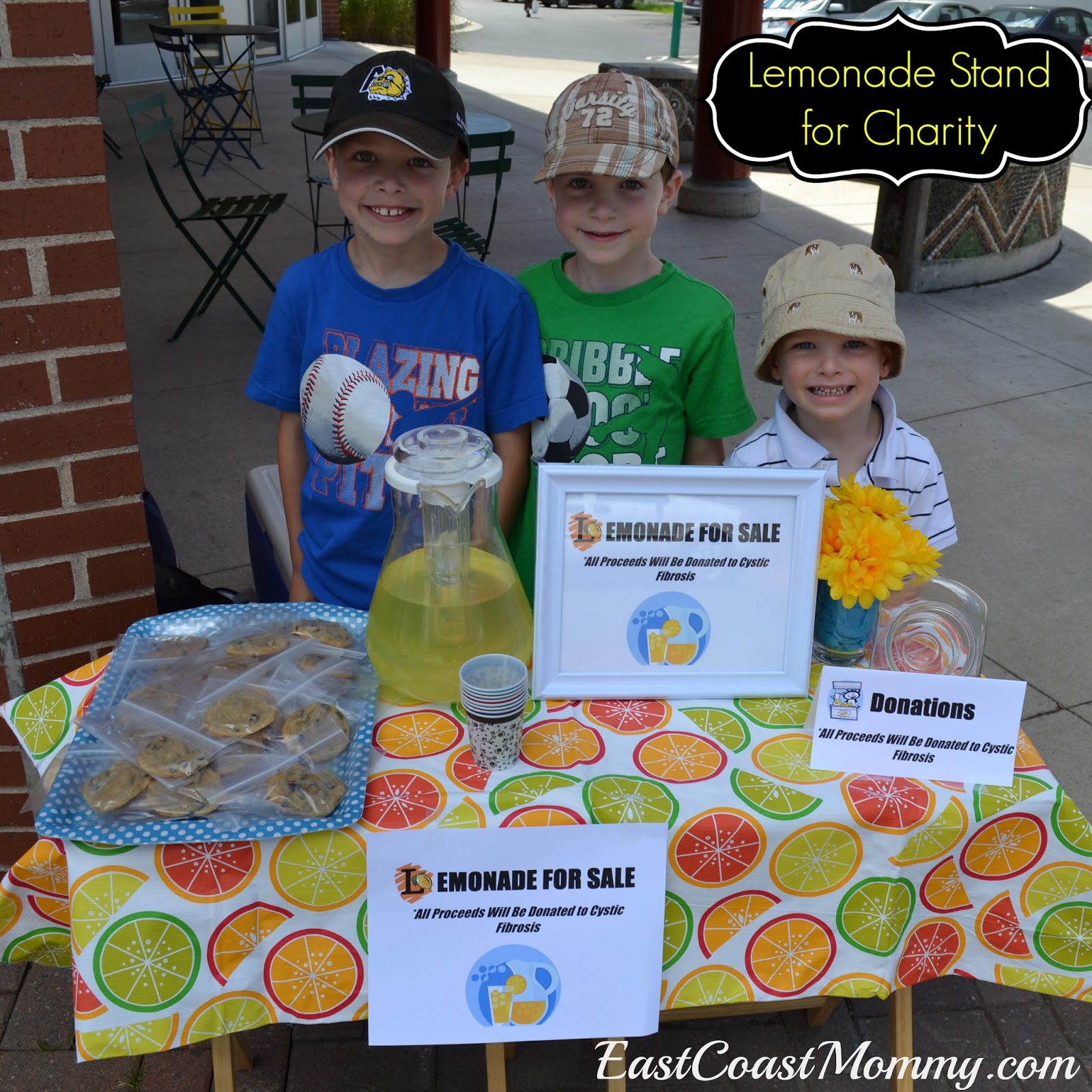 Lemonade Stand (for Charity) - SavvyMom