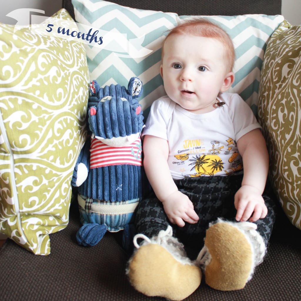 5 Months SavvyMom