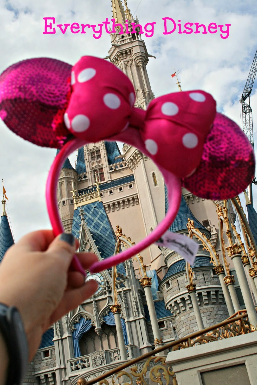 The Disney Post - SavvyMom