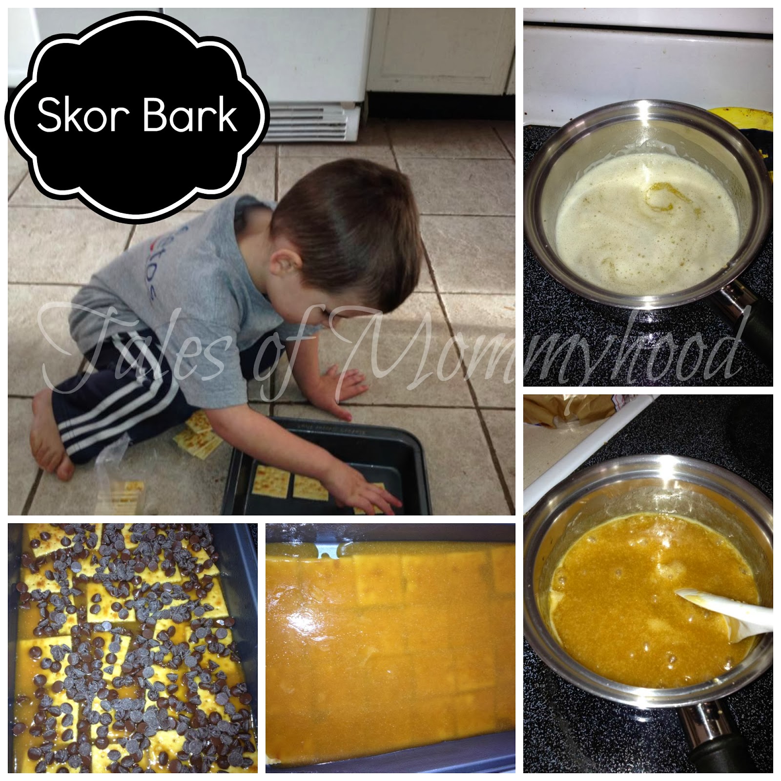 Skor Bark - SavvyMom