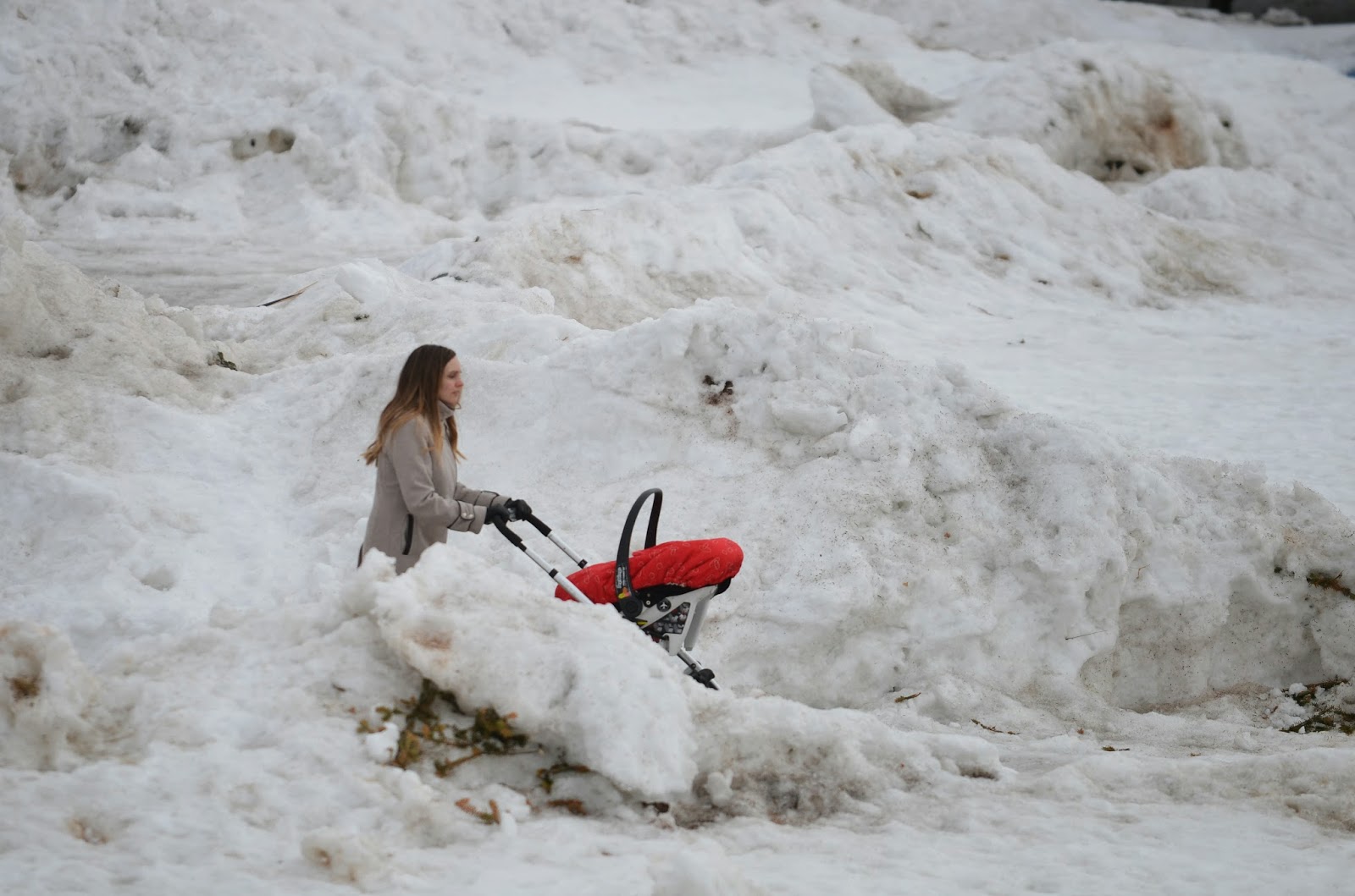 The Worst Winter - SavvyMom