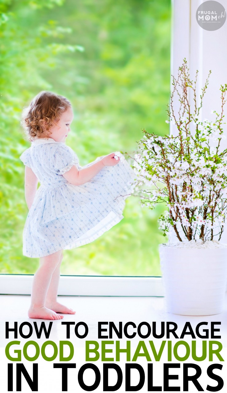 How to Encourage Good Behaviour in Toddlers - SavvyMom
