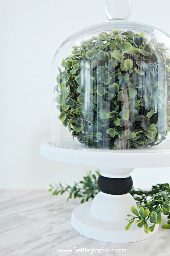 Easy, Affordable DIY Glass Cloche - SavvyMom