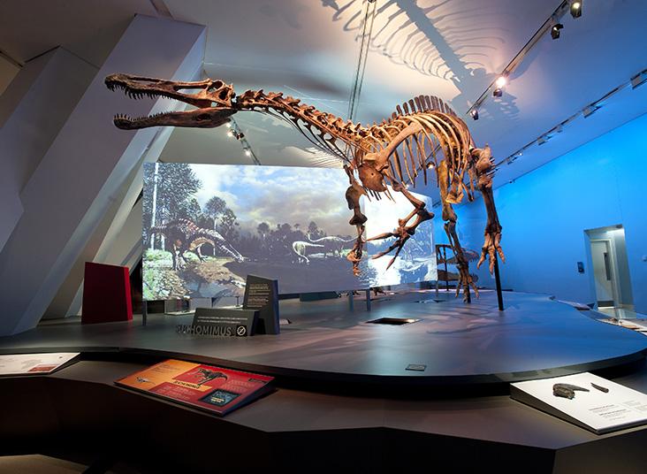 Ultimate Dinosaurs at the Canadian Museum of Nature - SavvyMom