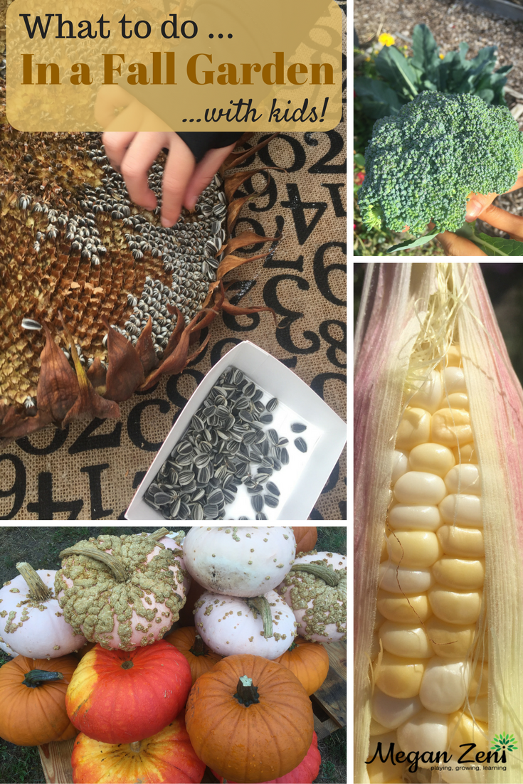 Fall Gardening with Kids - SavvyMom
