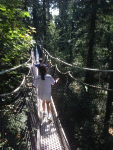 Two Great Places to Experience Treetop Adventures in Metro Vancouver ...