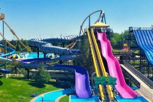 A Comprehensive Guide To Canada’s Wonderland with Little Kids - SavvyMom