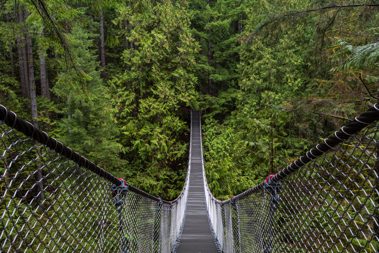10 Secret Spots to Explore for Vancouver Family Fun - SavvyMom