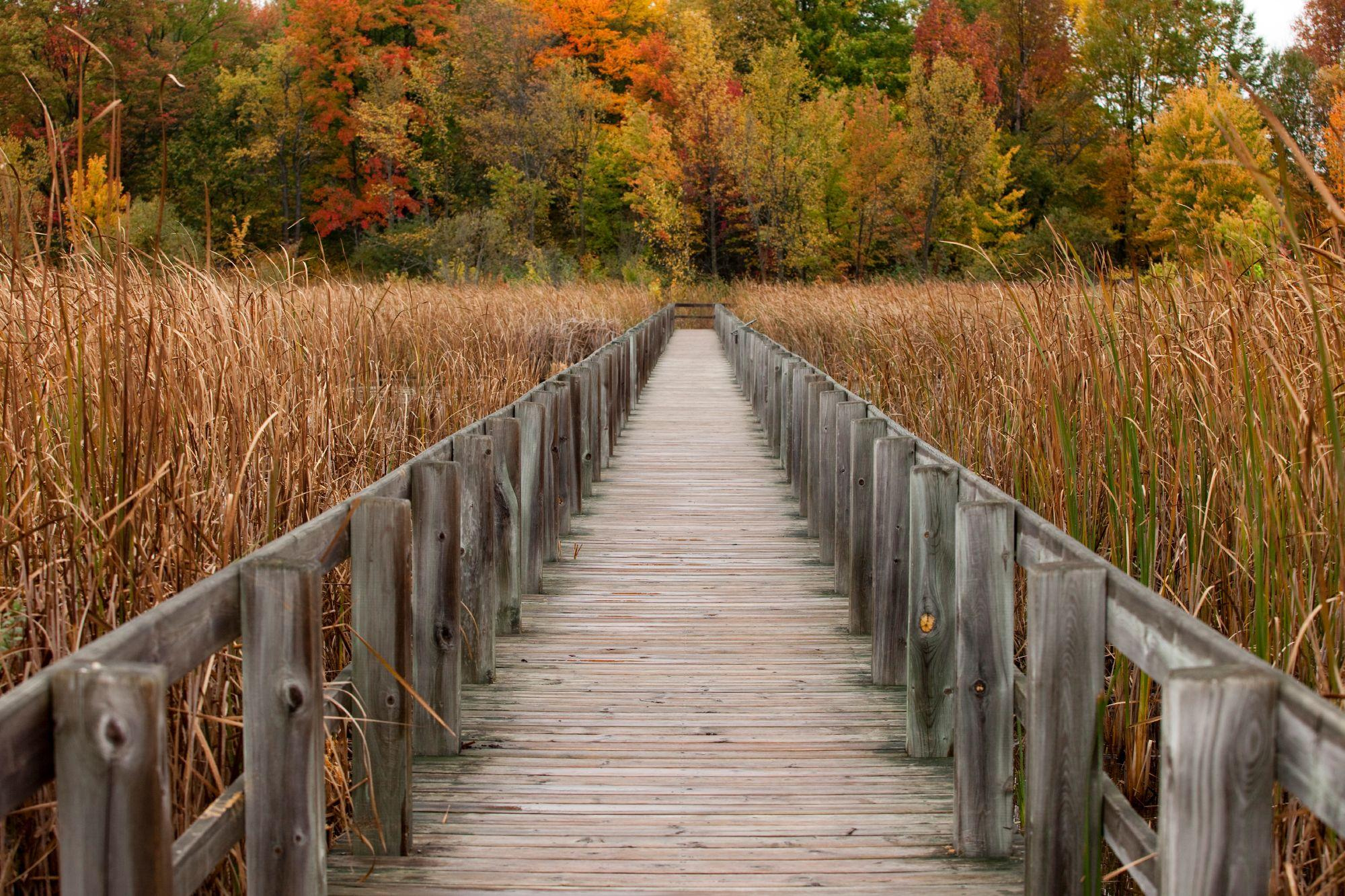 Where to Take Gorgeous Fall Photos Around Ottawa - SavvyMom