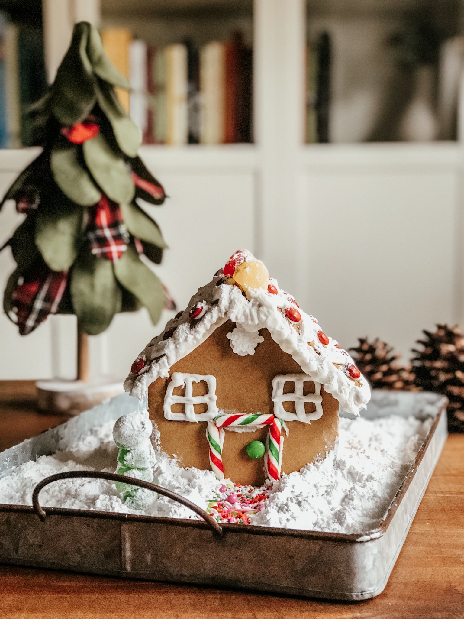 6 Secrets for Making a Foolproof Gingerbread House - SavvyMom