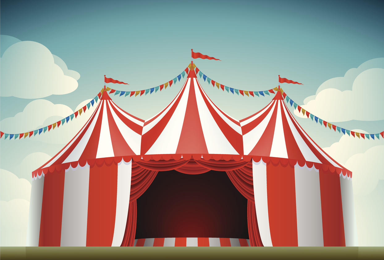 How to Experience the Circus in Vancouver: Magical Shows to See and ...