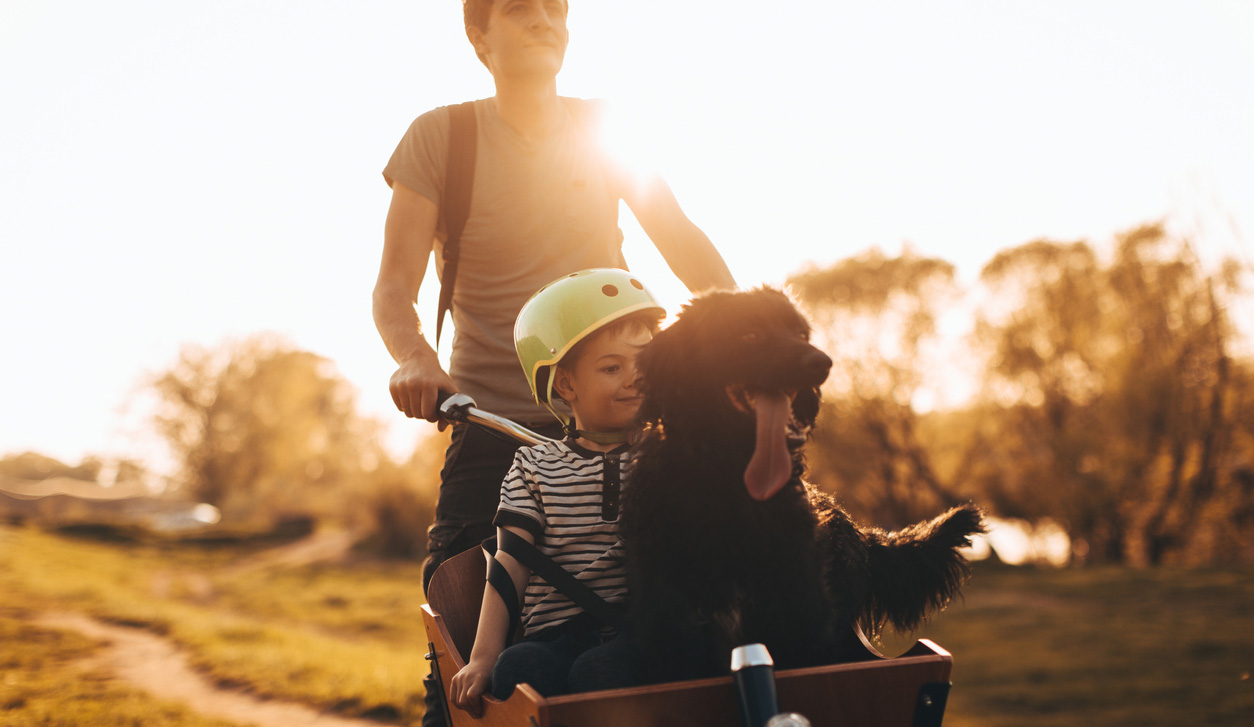 14 Fun Ways To Spend a Summer Day Outside in Calgary - SavvyMom