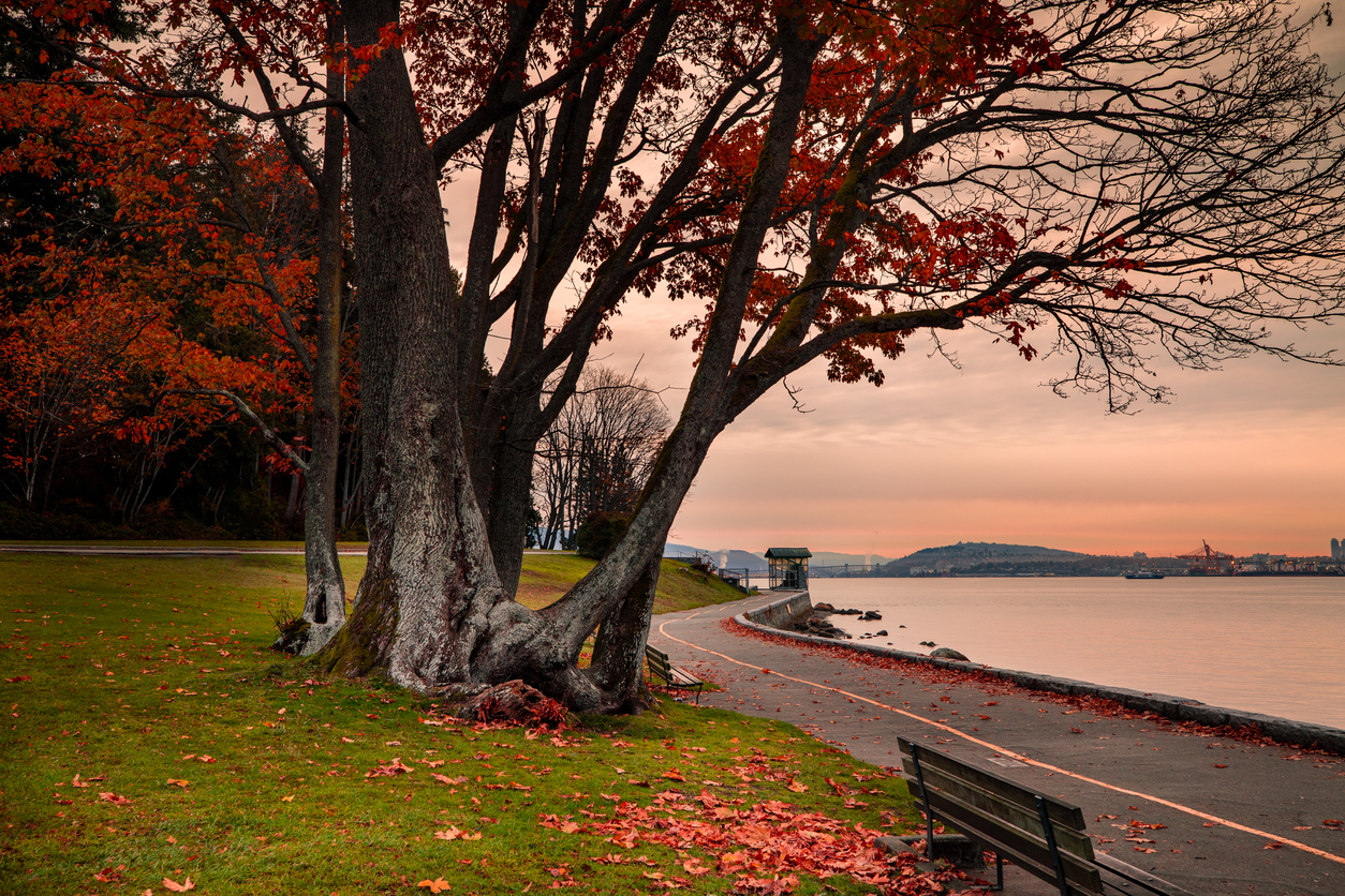 Fun Things for Families in Vancouver in October - SavvyMom