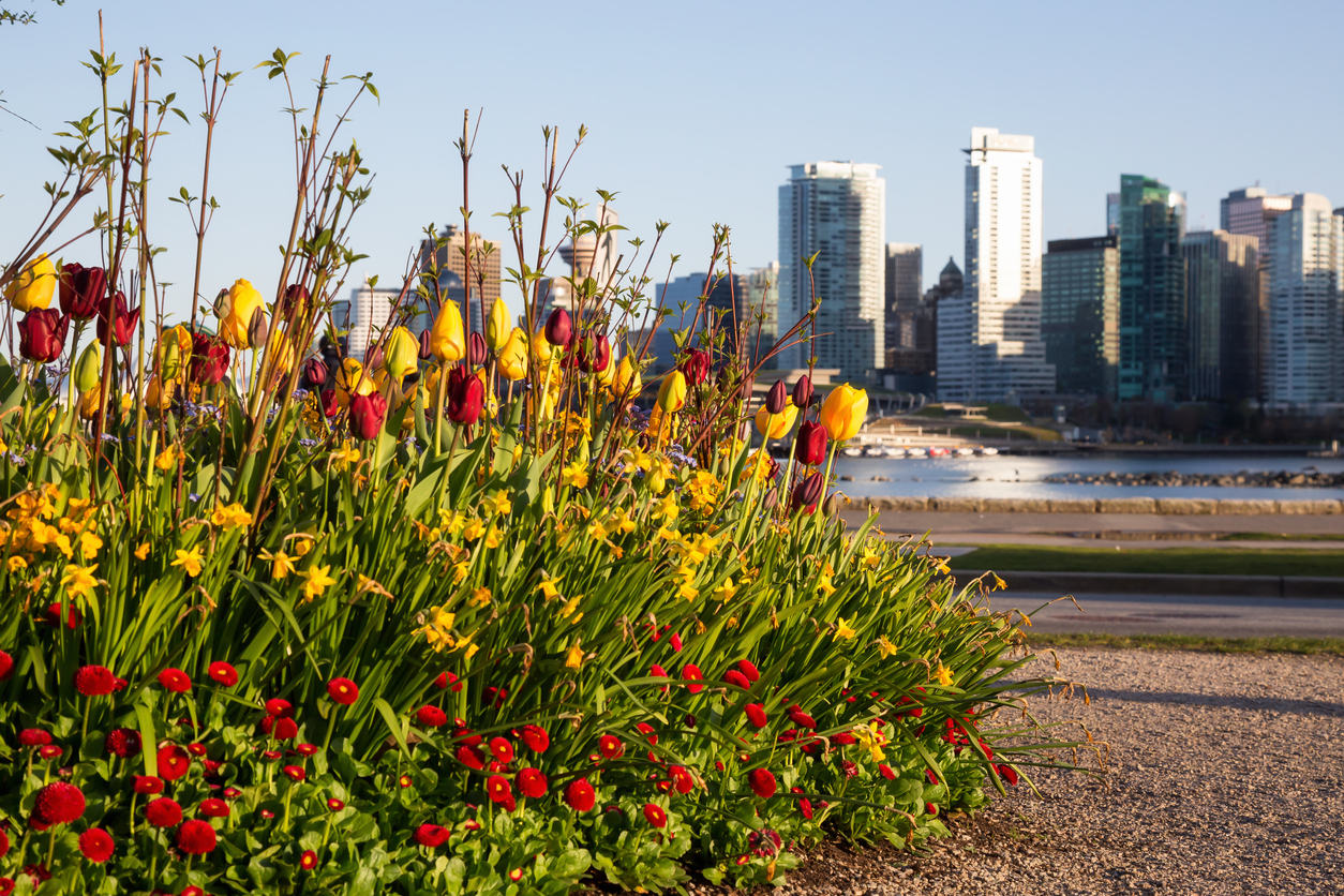 Leap into Spring with Family Events in Vancouver in April - SavvyMom