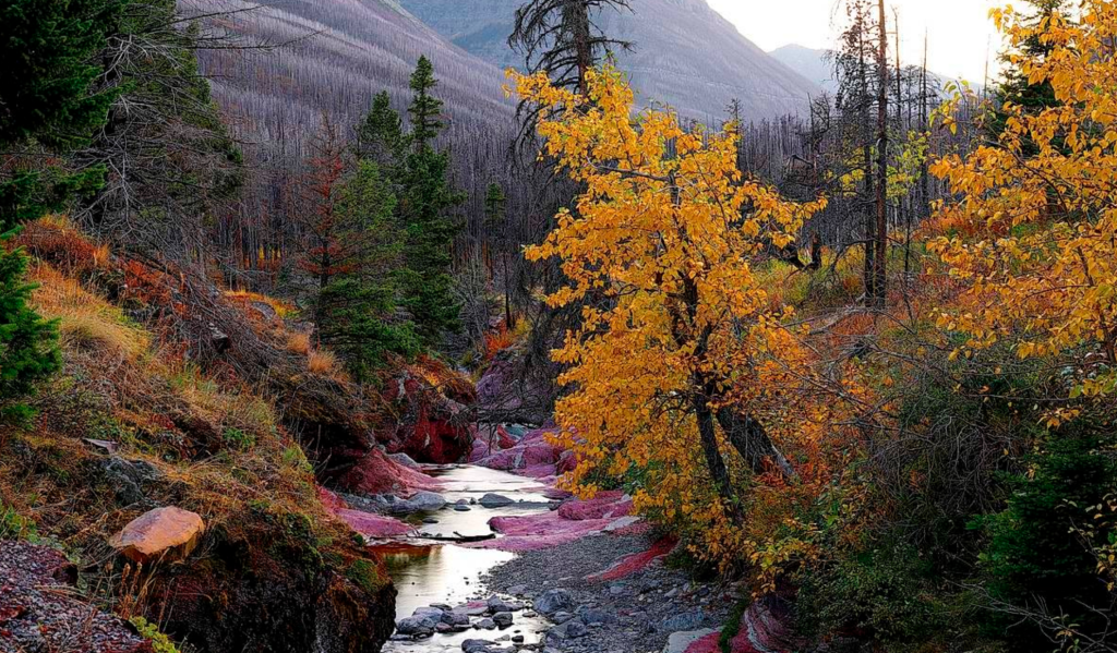 The Best Fall Road Trips Near Calgary - SavvyMom