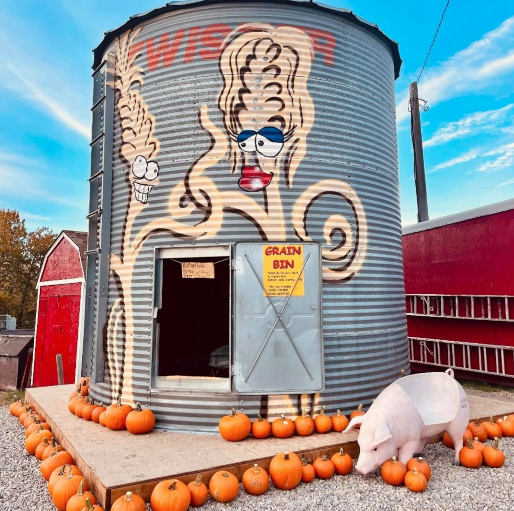 Fun Fall Activities in Calgary in October - SavvyMom