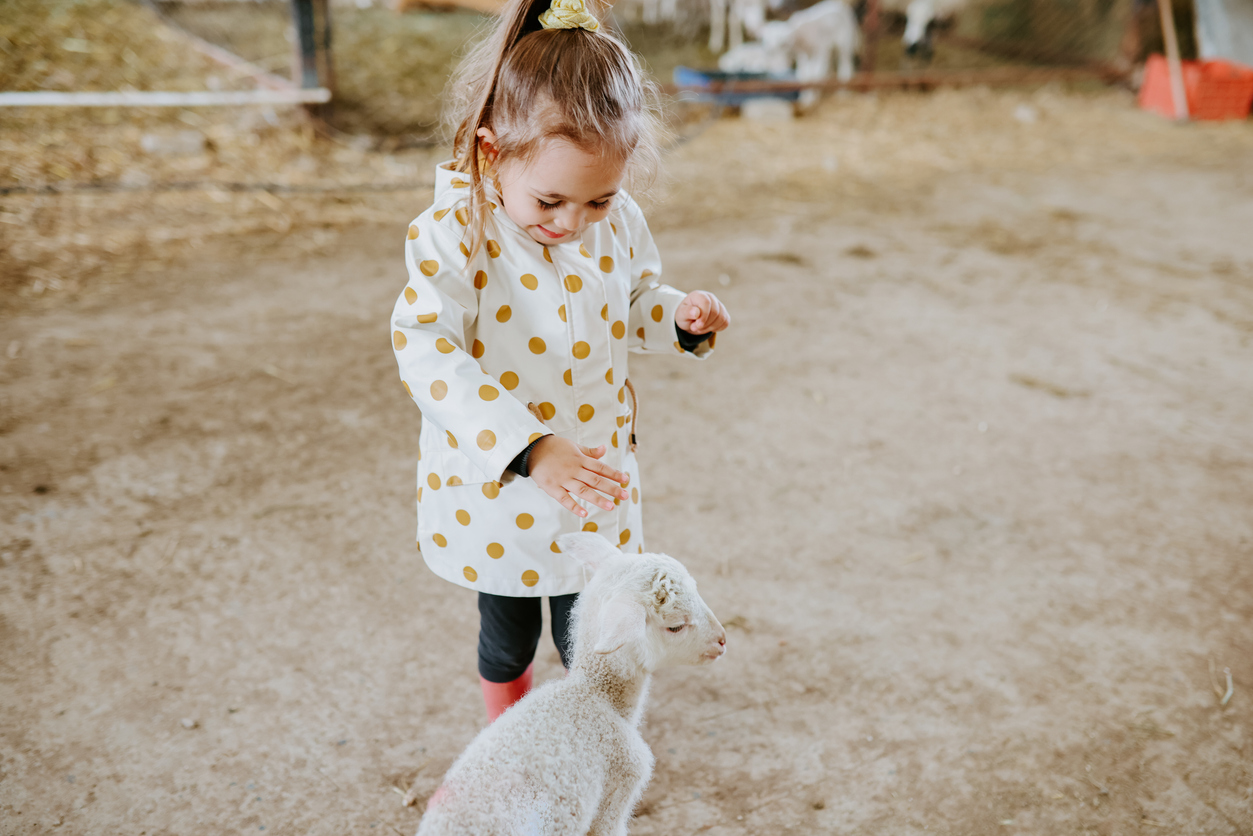 Fun Farms and Petting Zoos in Ottawa - SavvyMom