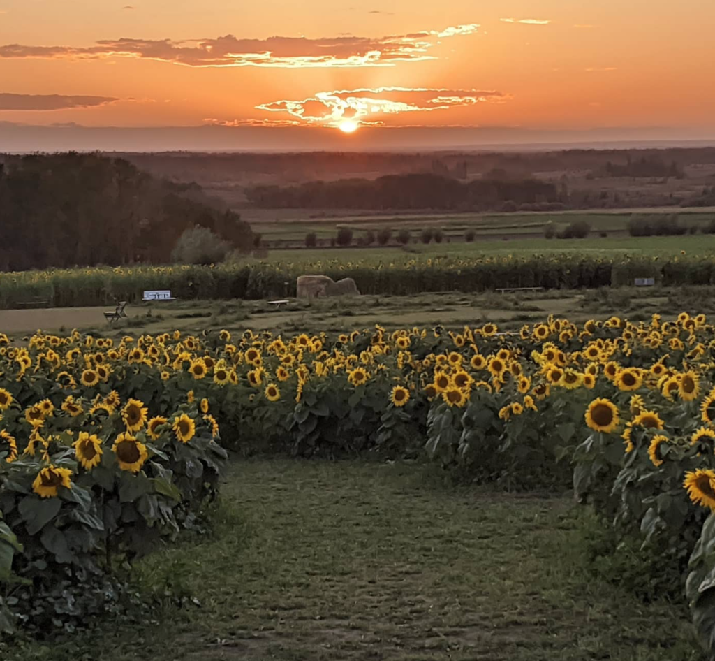 Fun Farms and Petting Zoos in Calgary - SavvyMom