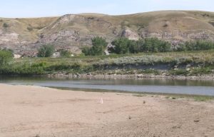 The Best Beaches in Calgary for Families - SavvyMom