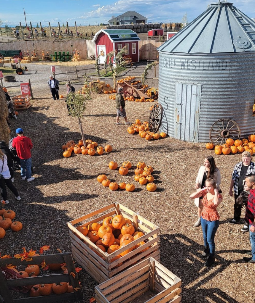 Fun Fall Activities in Calgary in October - SavvyMom